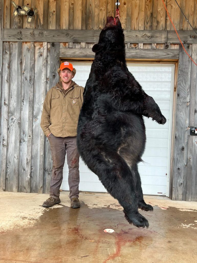 North Carolina Hunter Takes Down Massive 695-Pound Black Bear On ...