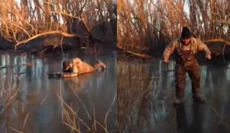 Oklahoma Duck Hunter Hilariously Tries To Army Crawl Across Thin Ice ...