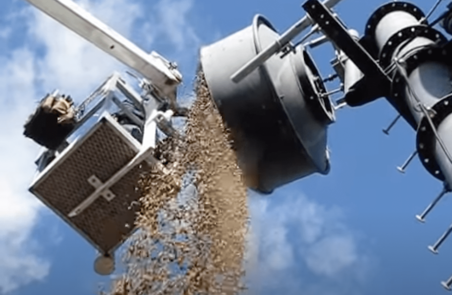 A 3-Ounce Woodpecker Stored 300 POUNDS Of Acorns In AT&T Antenna ...