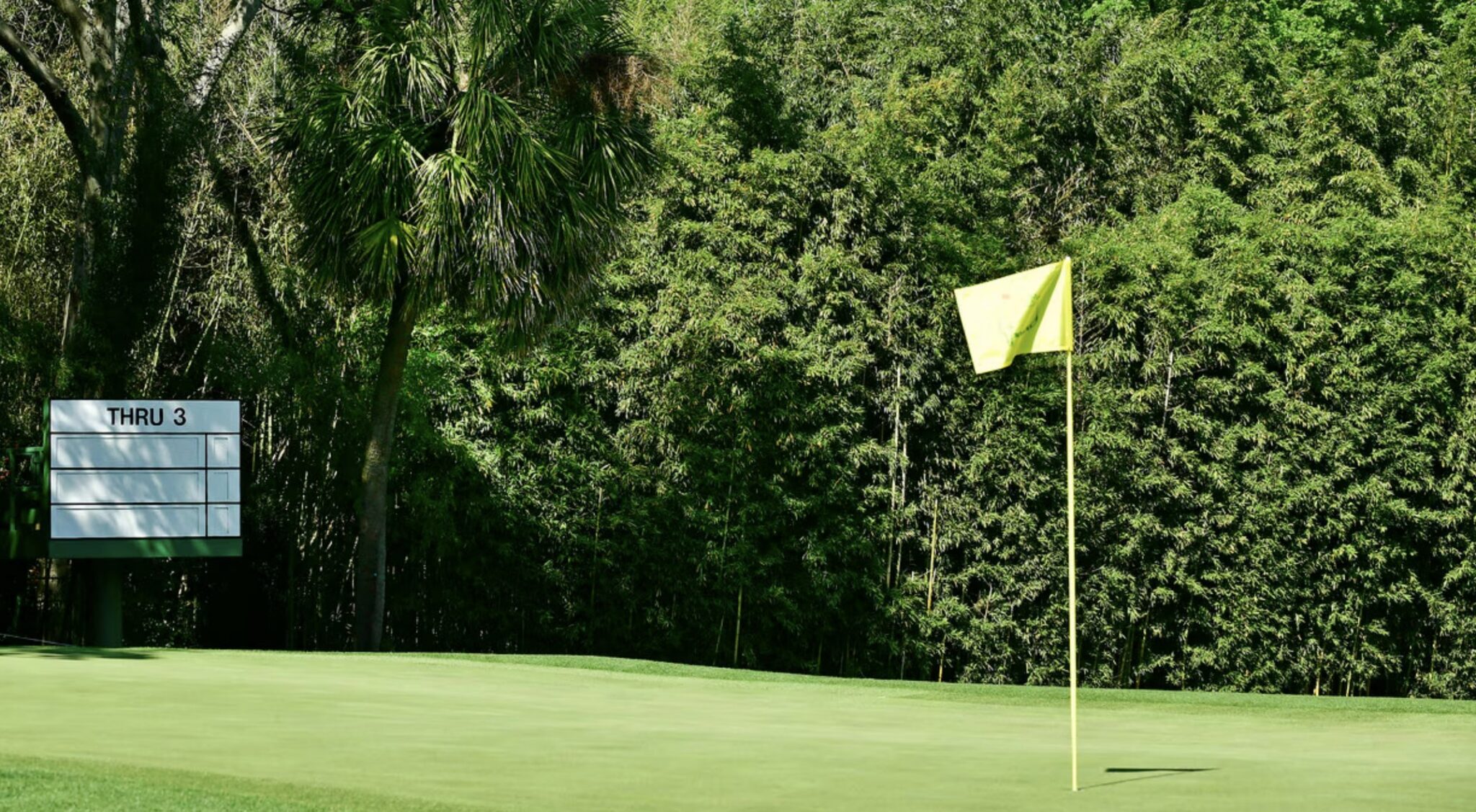 Masters History: Why There’s Only One Palm Tree On The Grounds Of ...