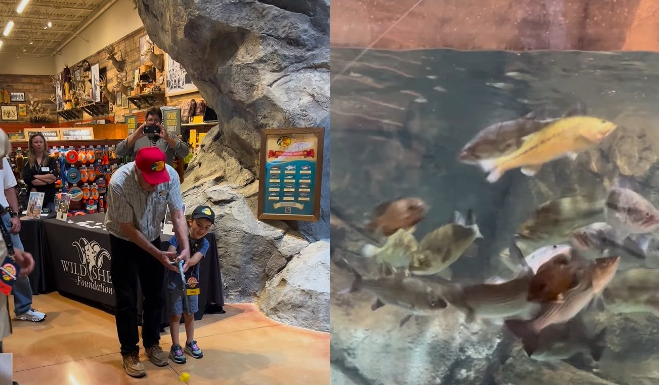 Little Kid Gets To Live The Dream By Casting Into Bass Pro Shop Fish ...