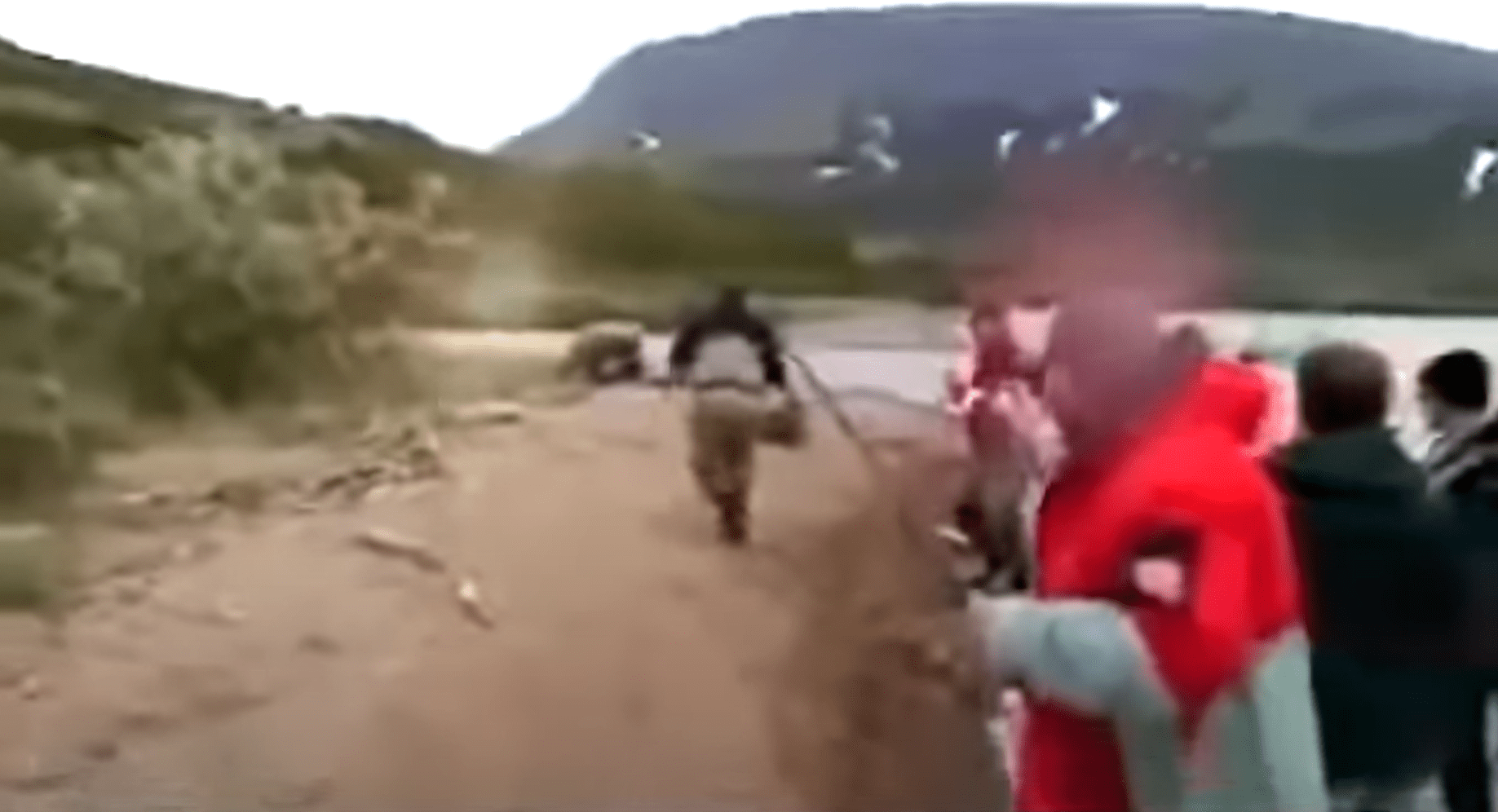 Fishermen Panic When Grizzly Bear Charges Across Alaskan River Looking ...