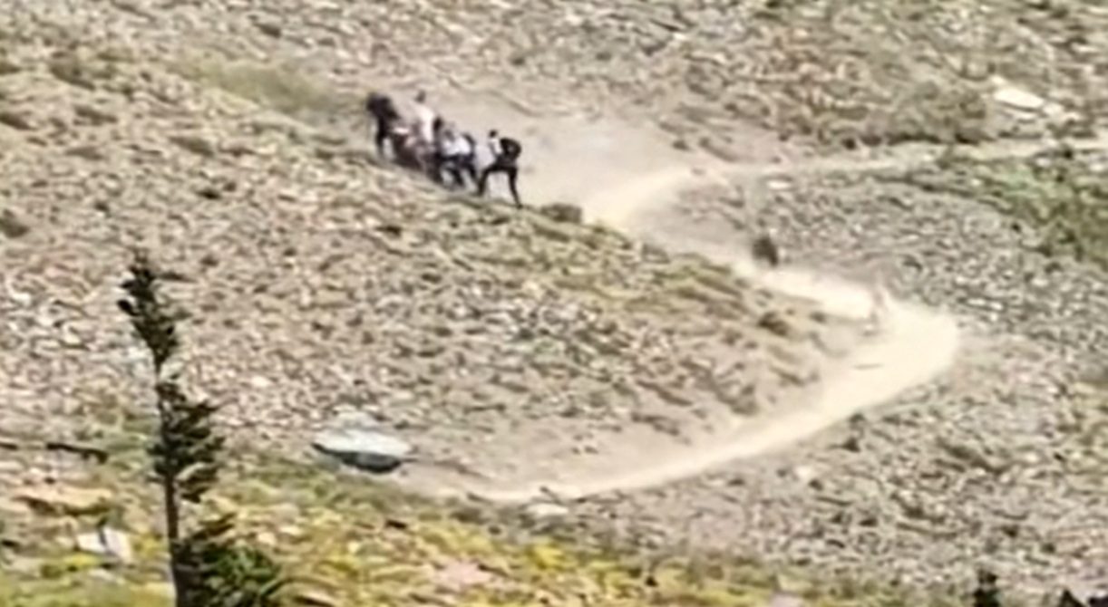 WATCH: Bear In Hot Pursuit Of Mountain Goat Runs Hikers Off The Trail ...