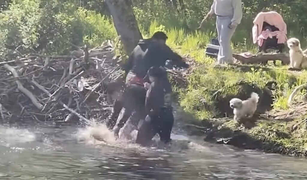 Watch the Shocking Moment a Rabid Beaver Attacked a New Jersey Family ...