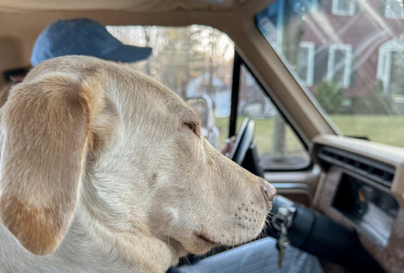 Zach Bryan Reveals “28” Was Inspired By His Dog, Boston, Surviving ...