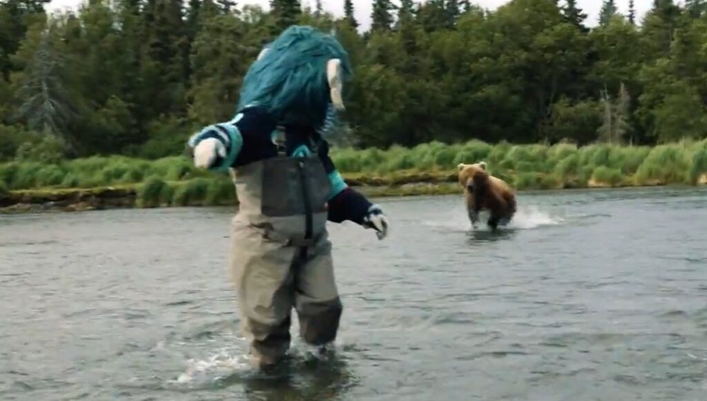 Curious Brown Bear Charges Towards The Seattle Kraken Mascot, Buoy ...