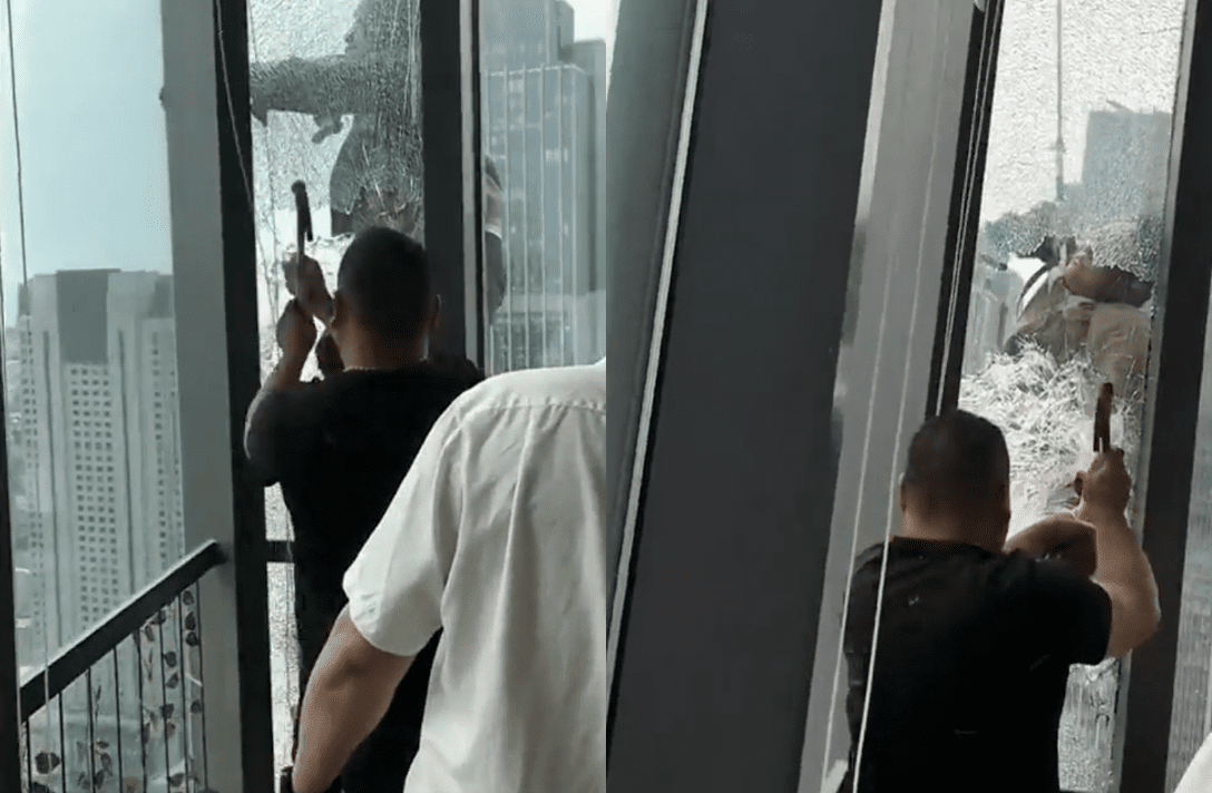High-Rise Worker Hanging Off The Side Of A Building Saved By Quick ...