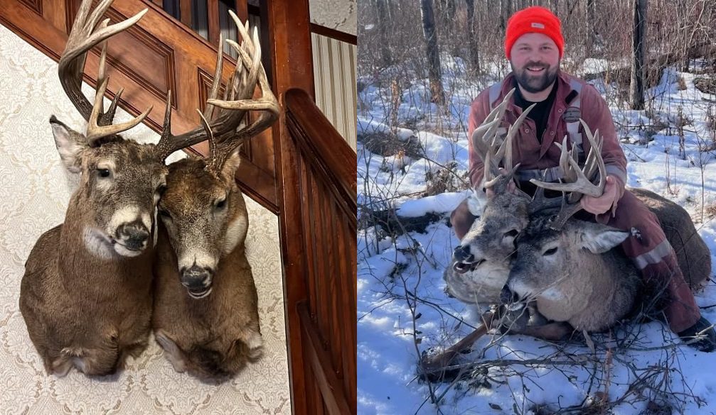 Canadian Deer Hunter Shows Off Incredible Mount After Bringing Down A 2 ...