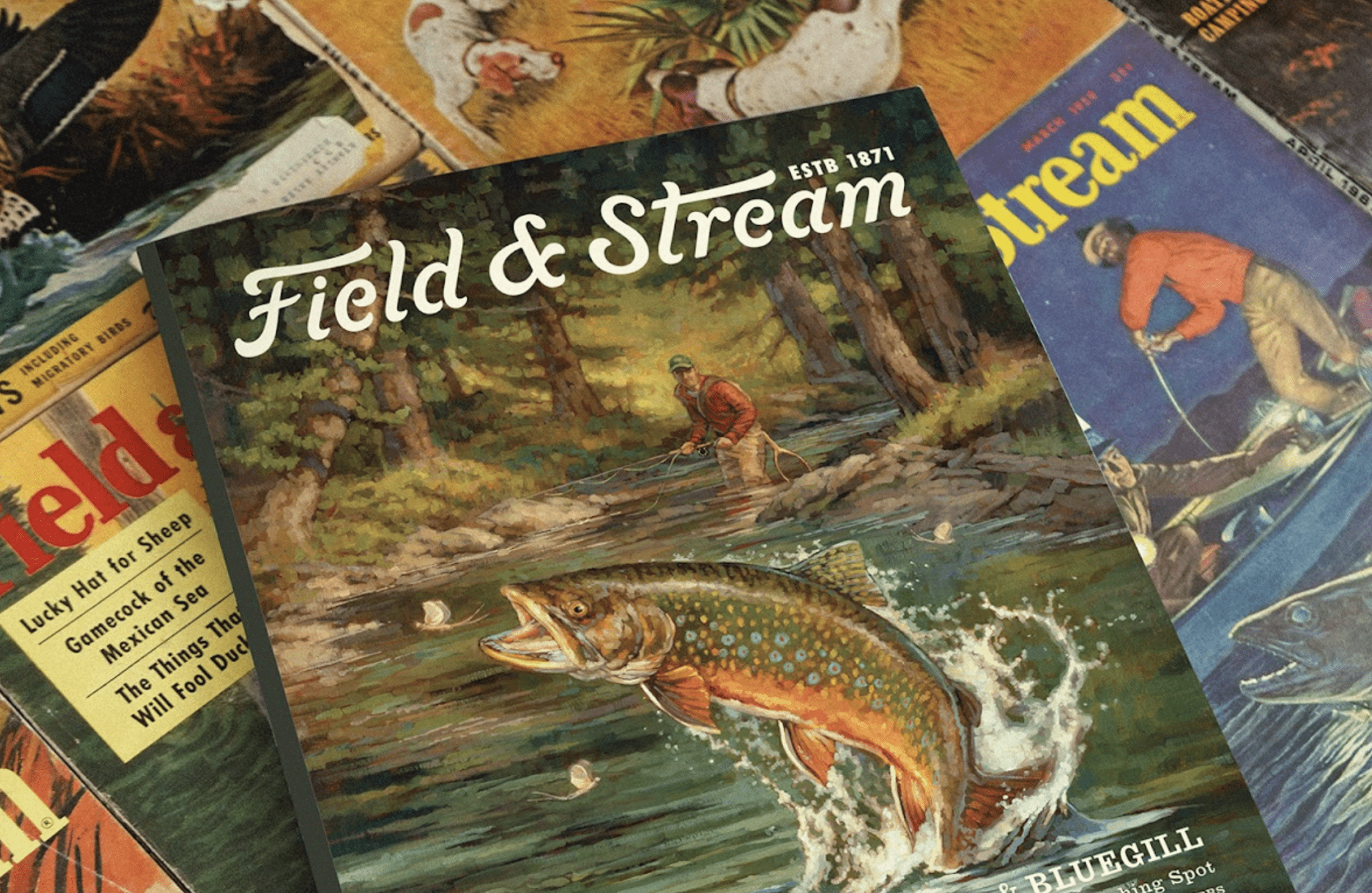 Field & Stream Magazine Returns To Print For The First Time In Four ...