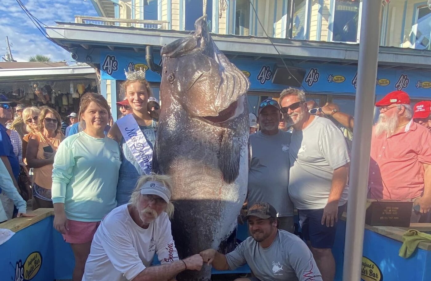 Georgia Man Hauls In MASSIVE 334-Pound Grouper At Destin Fishing Rodeo ...
