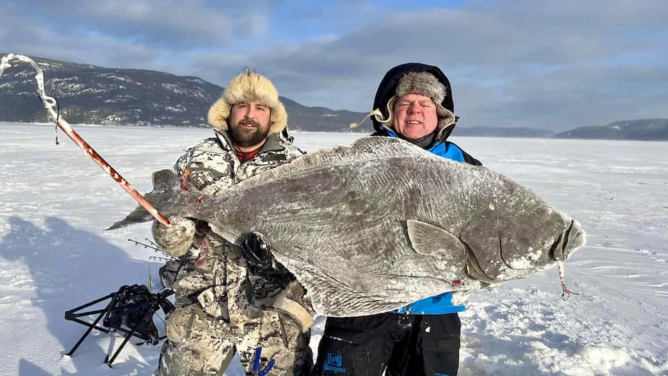 109-Pound Halibut Caught Through Ice During Special Canada Fishing ...