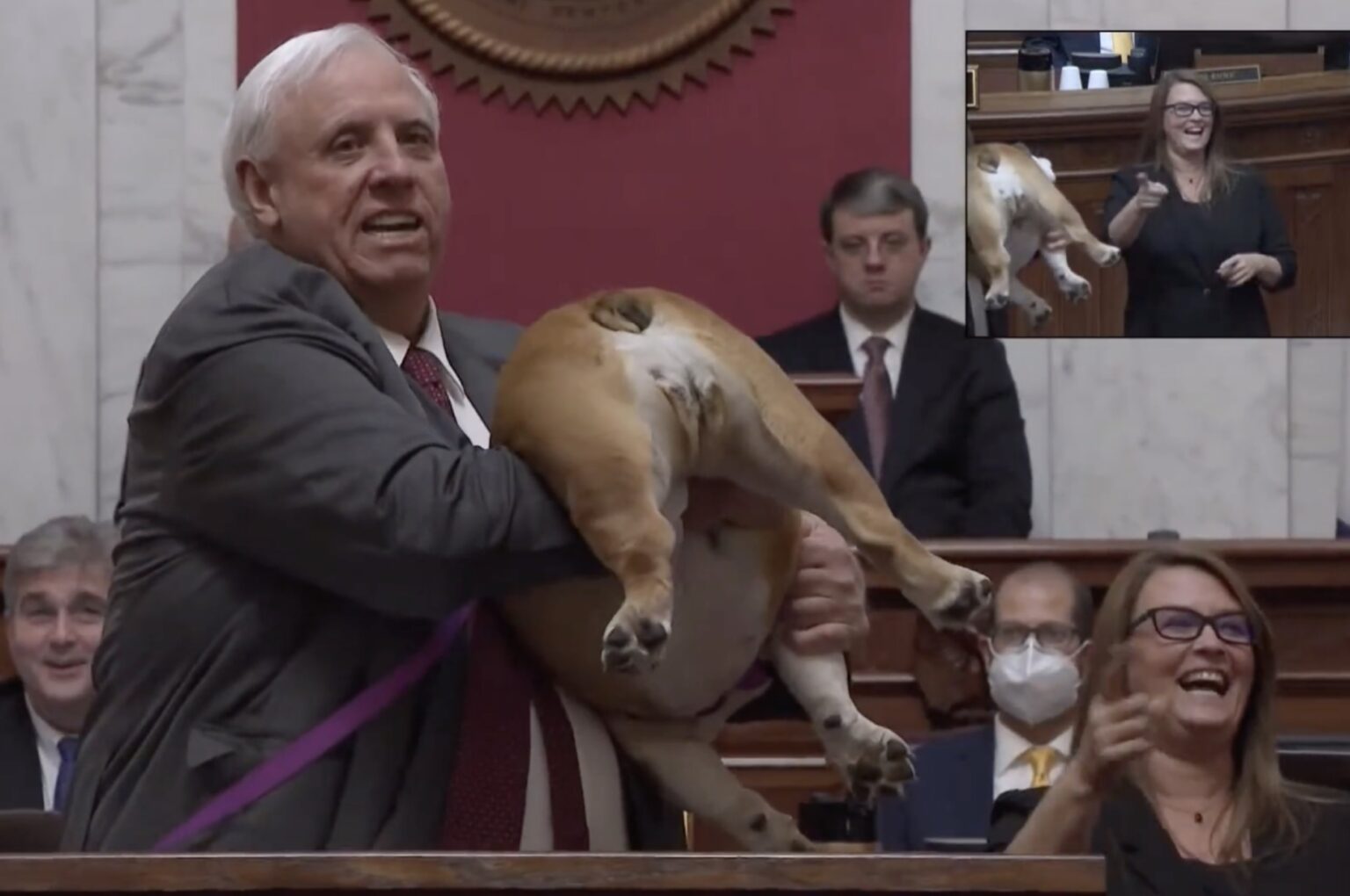“Senator Babydog” – The Internet Is Pumped To See New West Virginia ...