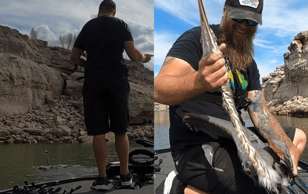 “Had To Switch Into Rescue Mode” – Fisherman Accidentally Snags A Blue ...