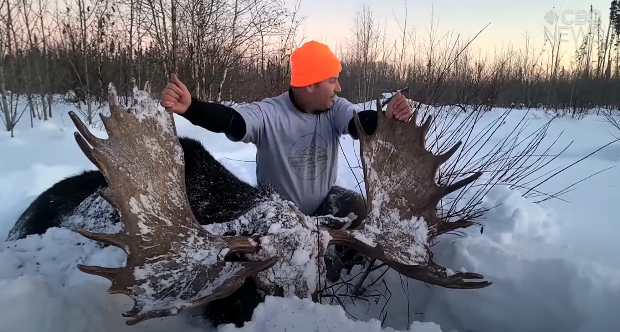 Poacher Gets Busted After He Posts Incriminating Video Of Moose Hunt On ...