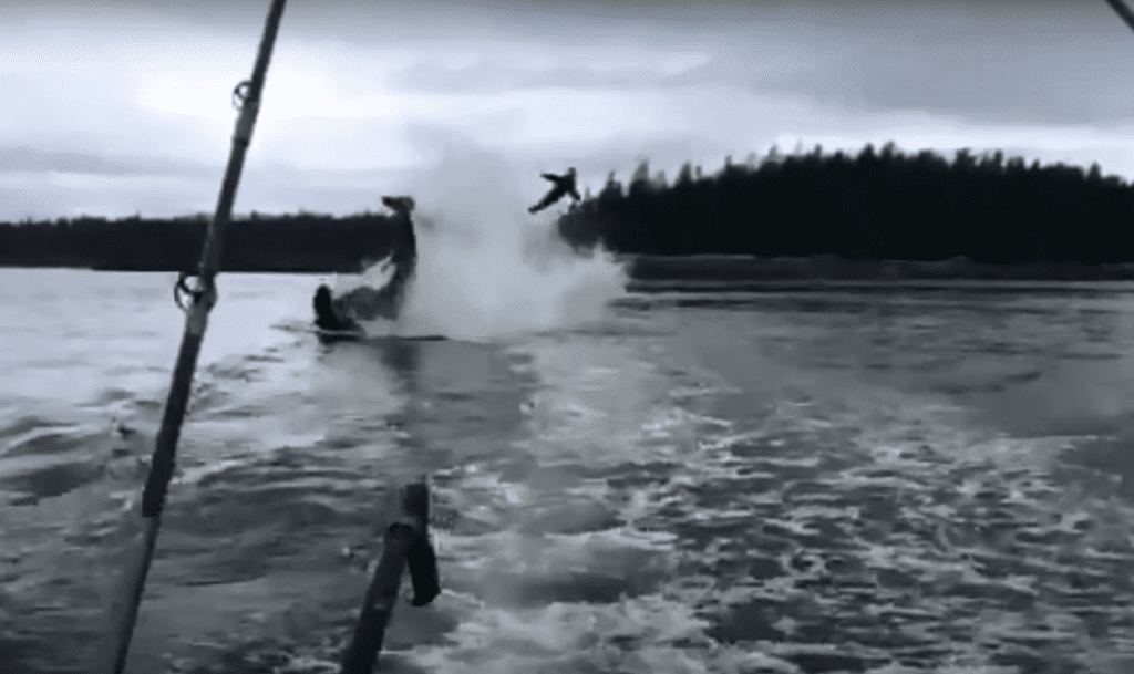 Alaskan Orca Absolutely Launches Sea Lion, Sends It Cartwheeling 20 ...