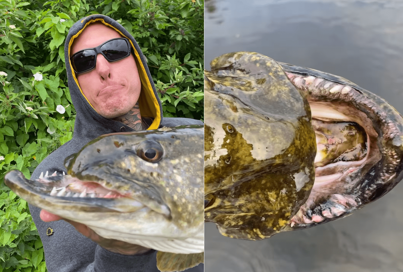 Guy Catches Freaky Looking Pike That Is Missing Its Whole Top Lip ...