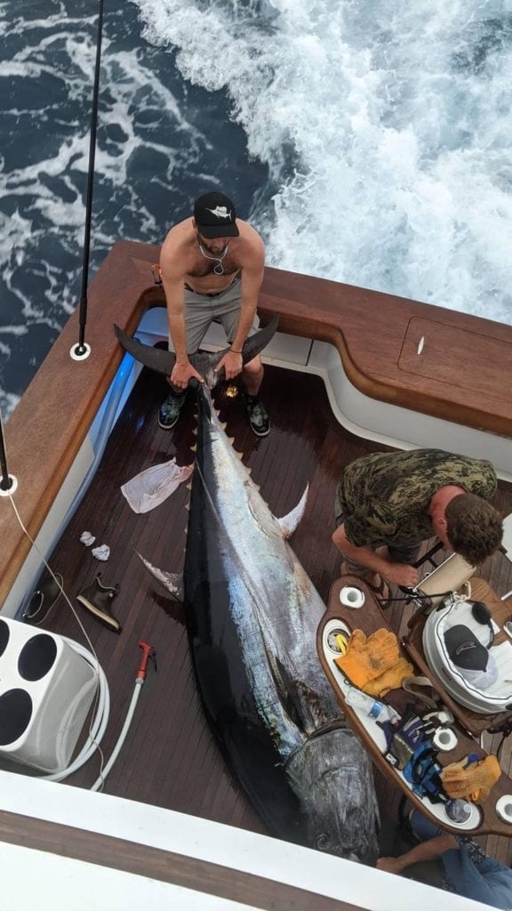 876-Pound Bluefin Tuna Shatters Texas State Record | Whiskey Riff