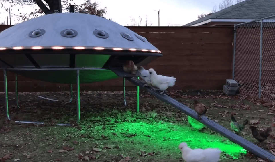 Idaho Man Builds Incredible UFO-Style Backyard Chicken Coop | Whiskey Riff