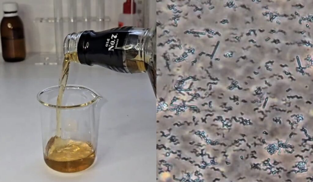 Drop Of Whiskey Kills Bacteria Under A Microscope, & The Internet Is ...