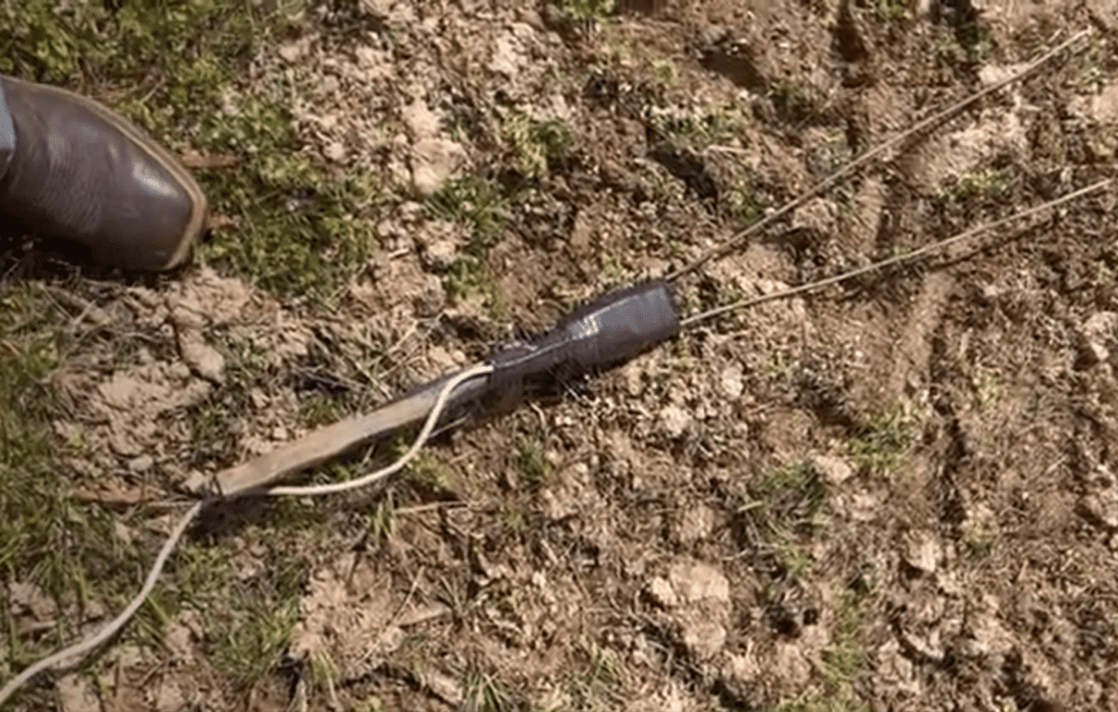 This “Redneck Worm Getter” Immediately Sends Earthworms To The Surface ...