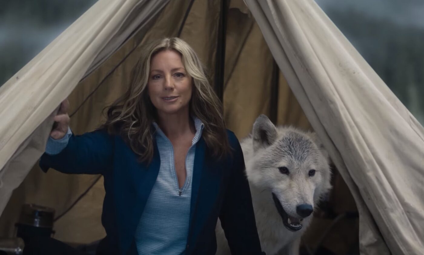 Busch Light Spoofs Sarah McLachlan’s Iconic Animal Shelter Commercials ...